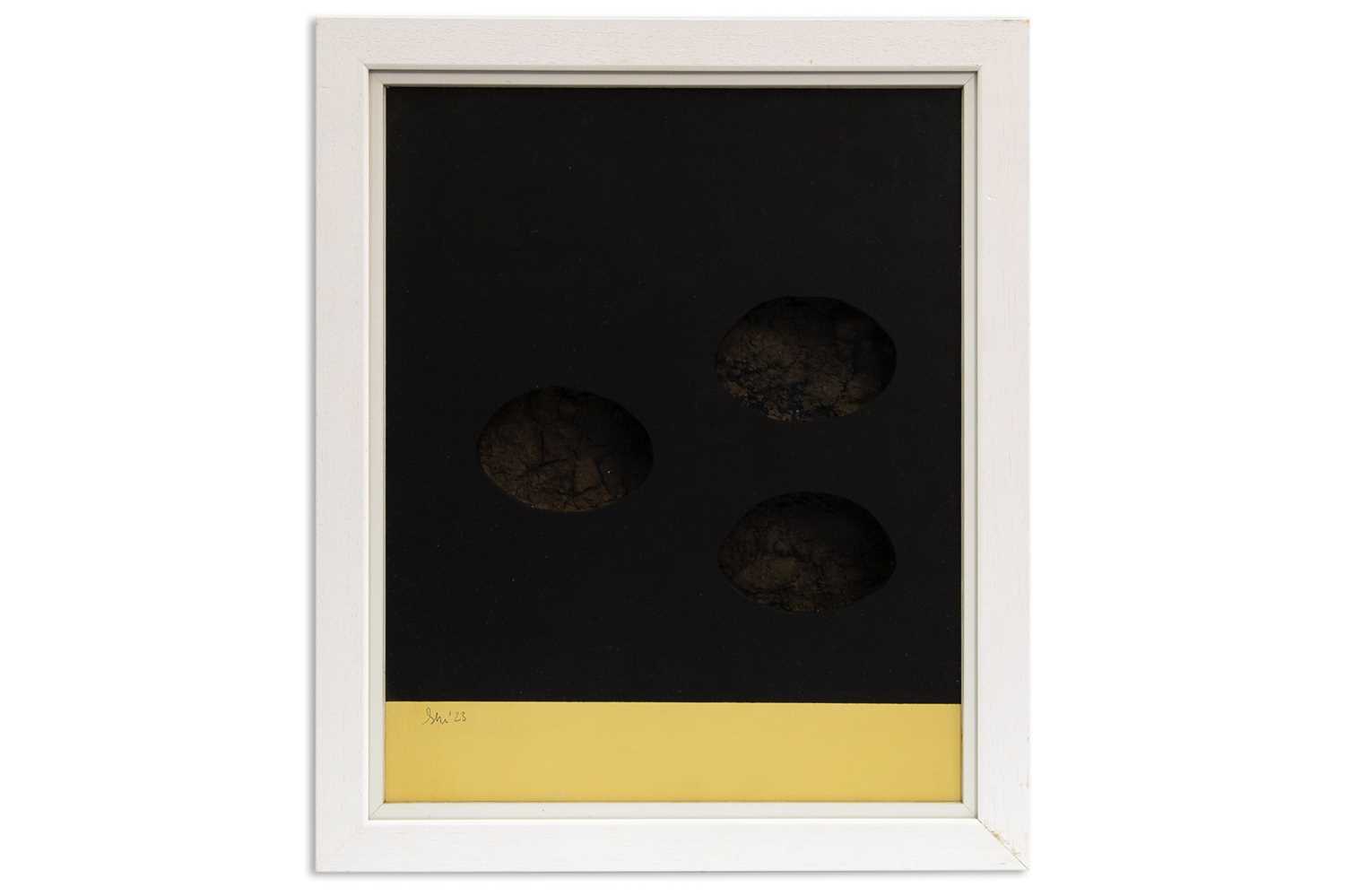 Lot 493 - STEPHEN MCKEE, (IRL Contemporary) Plots,