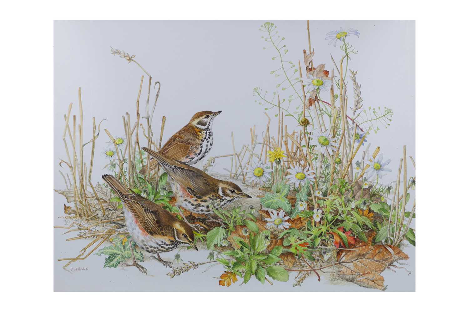 Lot 284 - ELIZABETH WALSH (ISLE OF MAN CONTEMPORARY),